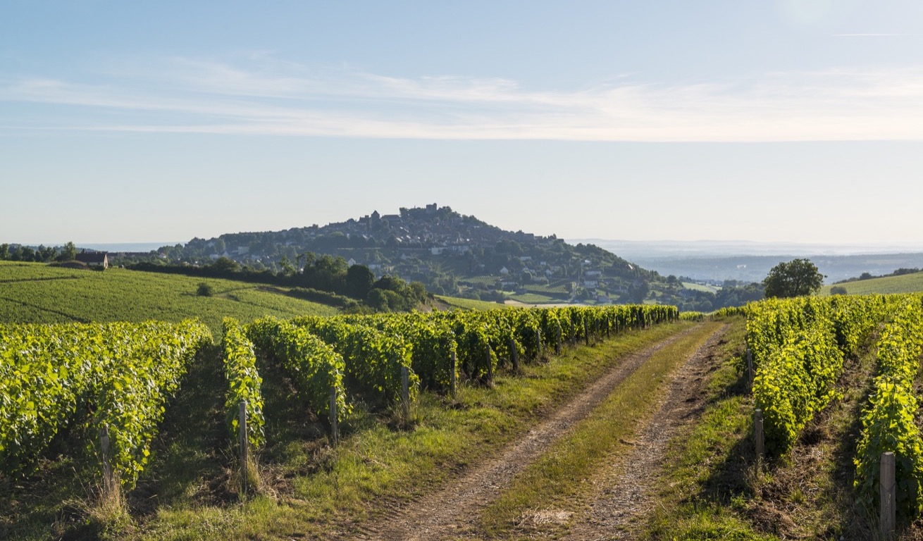 Sancerre - Joseph Mellot